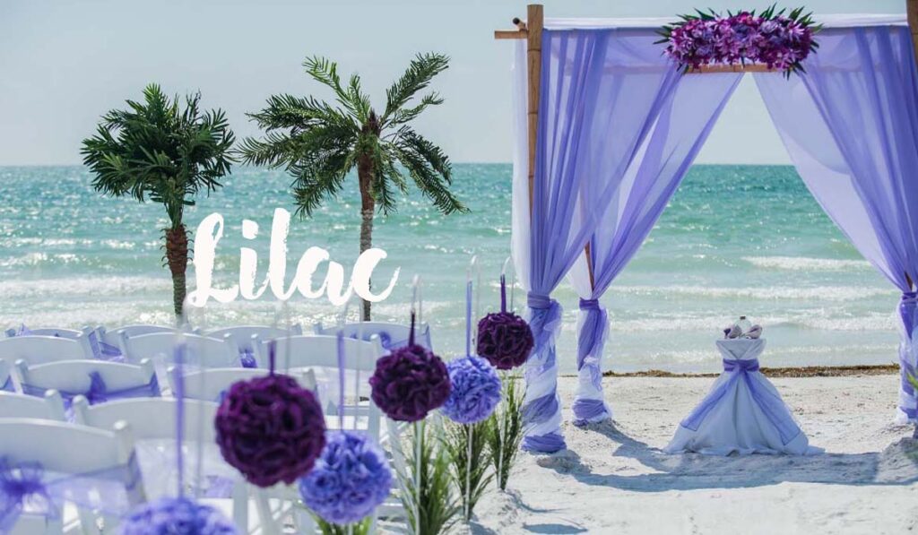 Florida beach wedding themes | Suncoast Weddings | 727-443-0039Suncoast ...