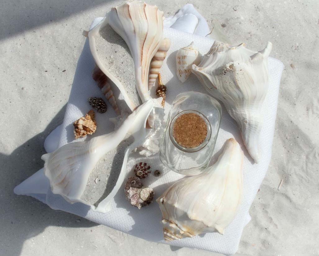 Seashell themed wedding by Suncoast WeddingsSuncoast Weddings